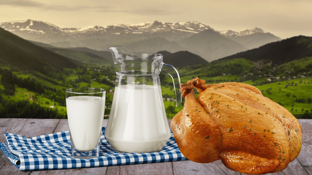 Can you consume chicken and milk together? - Dr. Dial